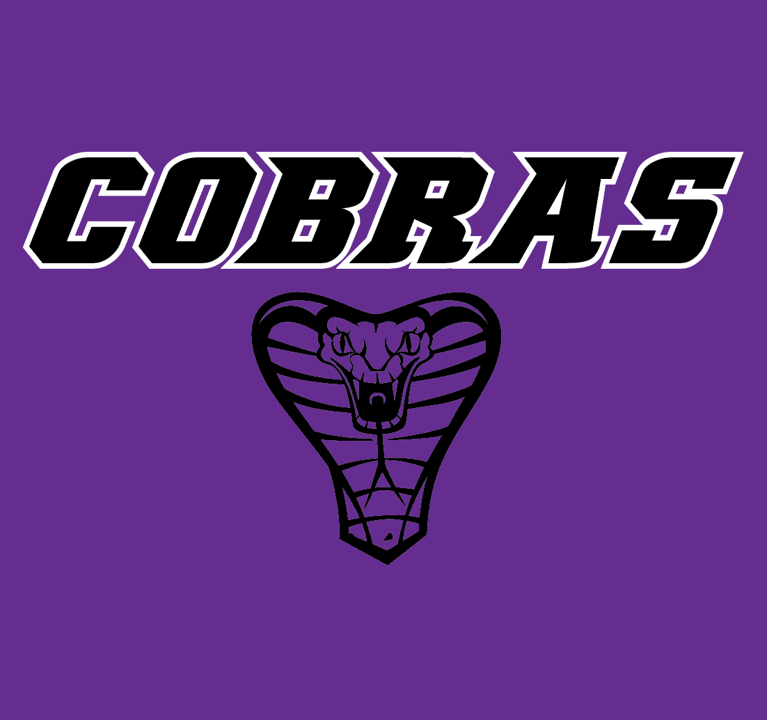 Cobras Softball – KOLBY LANE DESIGNS
